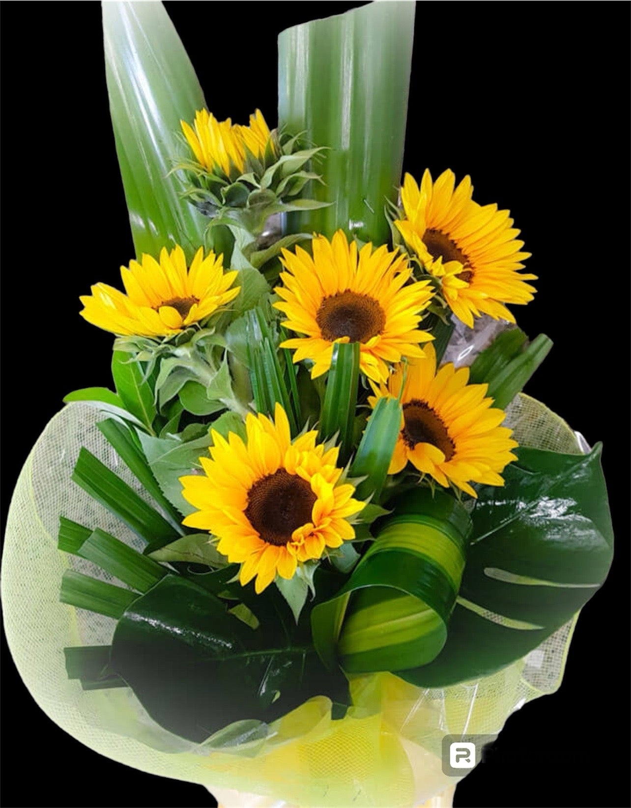 Sunflower Flower Arrangements & Bouquets in Adelaide – Flowers By Marisa